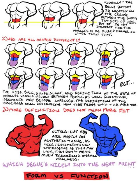 Abs Form Vs Function Drawing Tutorial Body Drawing Tutorial