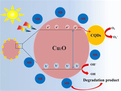 Schematic Presentation Of Dye Adsorption Photogeneration Of Download Scientific Diagram