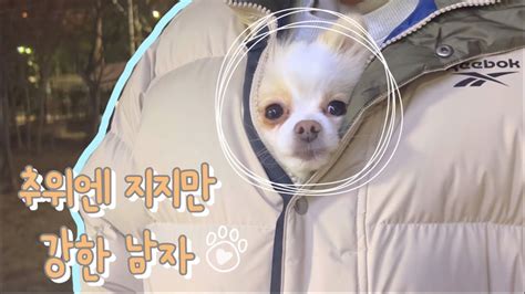 Vlog 평범하지만 행복한 일상 Youtube