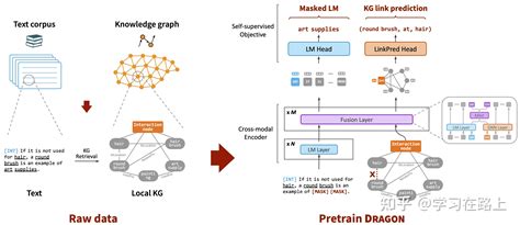 Deep Bidirectional Language Knowledge Graph Pretraining代码解析 知乎