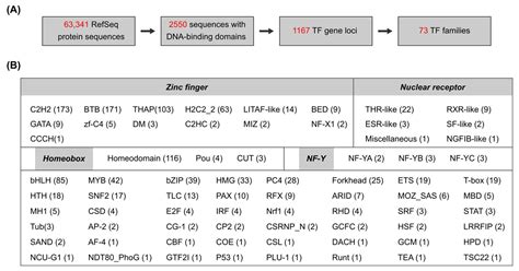 Integrated Genomic And Transcriptomic Analysis Reveals A Transcription