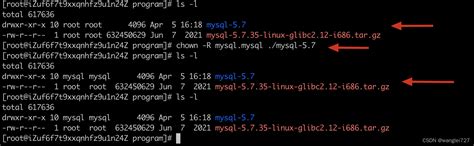 Linux服务器安装mysql步骤详解服务器上如何装mysql Csdn博客 Linux服务器安装mysql步骤详解服务器上如何装mysql Csdn博客