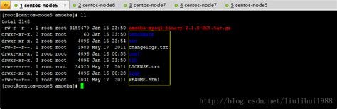 Mysql基于amoeba读写分离搭架 Csdn博客