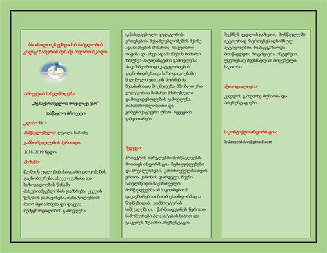 სსიპ ილია ჭავჭავაძის სახელობის ქალაქ ხაშურის N3 საჯარო სკოლა