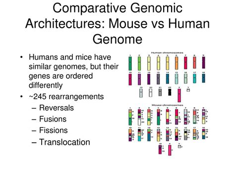Csci2950 C Genomes Networks And Cancer Ppt Download