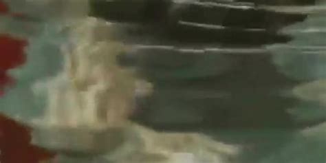 Felony Search TNAFLIX COM Page Felony Search TNAFLIX COM Page