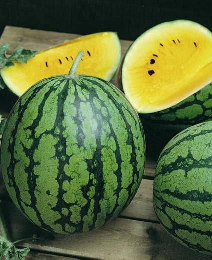 Behind The Watermelon The Yellow Flesh What About Watermelon