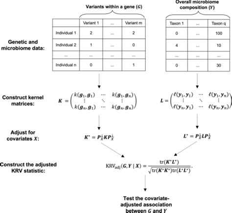 Computational Method Identifies Genetic Drivers Of Microbiome Diversity