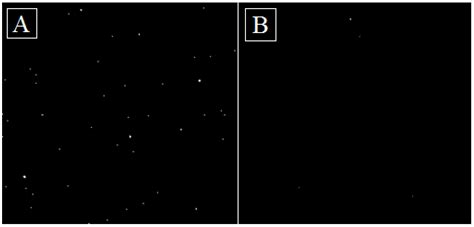 Modification Of 3d Printable Polymer Filaments For Radiation Shielding
