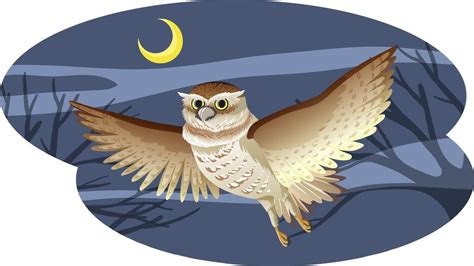 Owl Flying Vector Art Icons And Graphics For Free Download