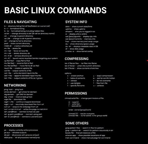 Aditya Singh 📈 On Linkedin Webdevelopment Content Brand Programming Javascript Frontend