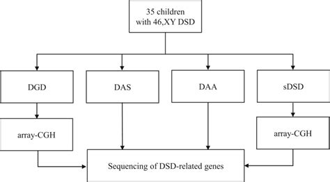 Integrating Clinical And Genetic Approaches In The Diagnosis Of 46xy