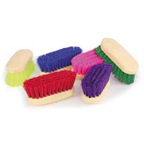 Rainbow Dandy Brush Large