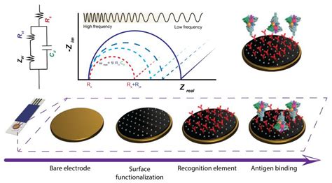 Biosensors Mdpi On Linkedin Review Mdpi Electrochemical Spectroscopy Poct Biosensors