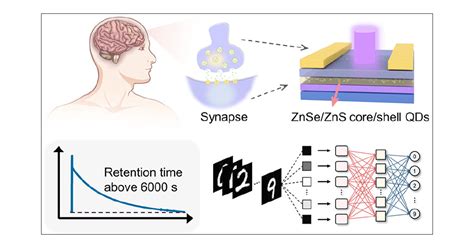 Organic Synaptic Transistors With Environmentally Friendly Core Shell Quantum Dots For
