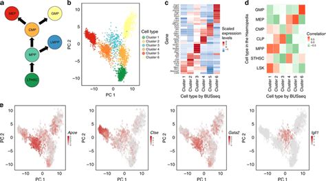 Busseq Preserves The Hematopoietic Stem And Progenitor Cells Hspc