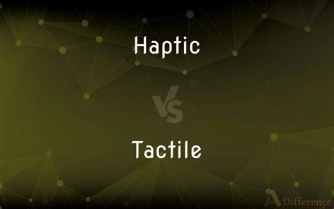 haptic vs tactile — what s the difference