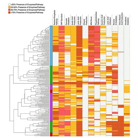 Clustering 217 Mags Using Metabolic Pathways Identified Homologous