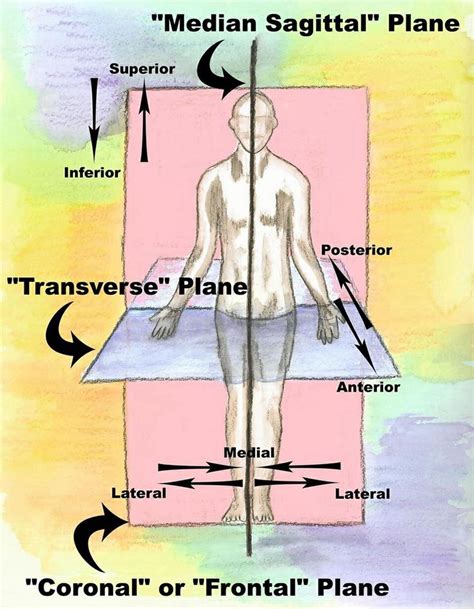 Pin Page