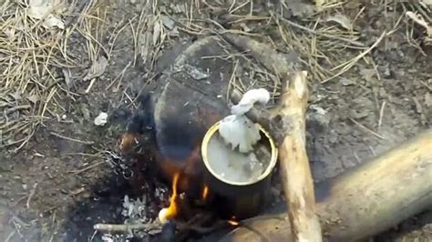 Жевачка из смолы хвойных деревьев сера живица сола смолка