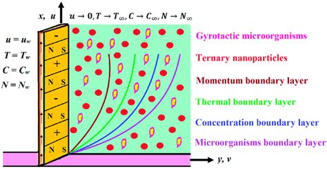 Geometry Of Flow Configuration Download Scientific Diagram