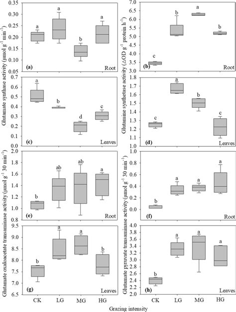 Effects Of Grazing Intensity On Activities Of Nitrogen Assimilation