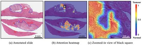 Interpretability And Visualization Download Scientific Diagram