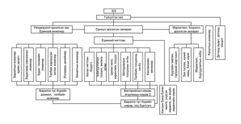 Бүтэц зохион байгуулалт Хасуу Цамхаг