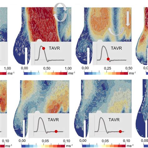 piv measured velocity fields at eight time points within the cardiac