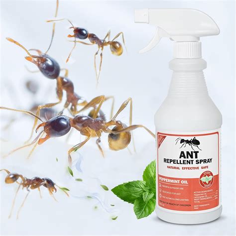 Do Sugar Ants Like Peppermint Oil At Kristen Loveland Blog