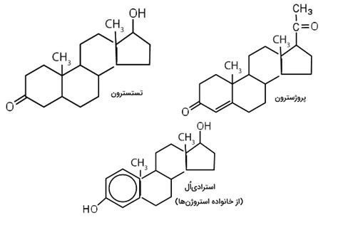 استروئید چیست ؟ ساختار، کاربرد و عوارض به زبان ساده فرادرس مجله‌