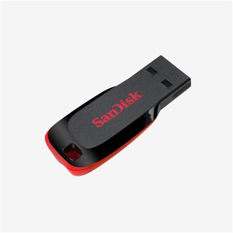 Sandisk Flash Drive Nurture Hr And It Solution