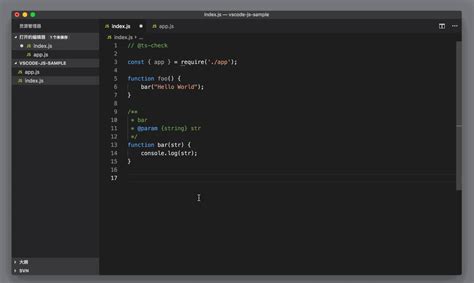 VSCode 支持JavaScript 极客教程