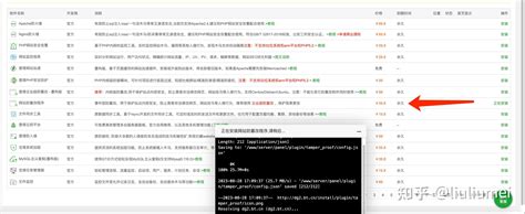 宝塔面板如何免费使用专业版插件 知乎