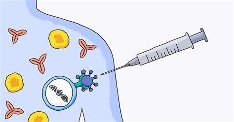 What Makes An Rna Vaccine Different From A Conventional Vaccine Pfizer