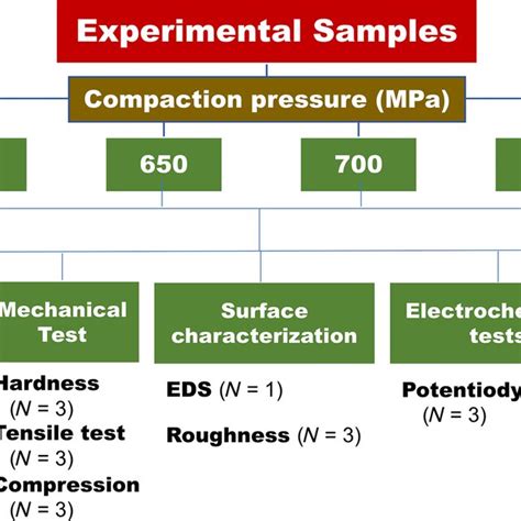 schematic diagram of the experimental design n number of replicate