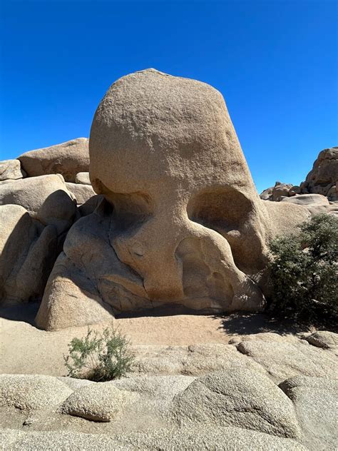 Visiter Le Parc National Joshua Tree Une Aventure Unique