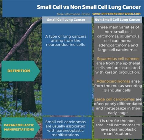 Difference Between Small Cell And Non Small Cell Lung Cancer Compare The Difference Between