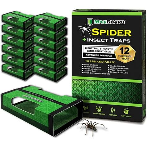 Spider Insect Traps 12 Pcs Box Trap Non Toxic Extra Sticky Glue