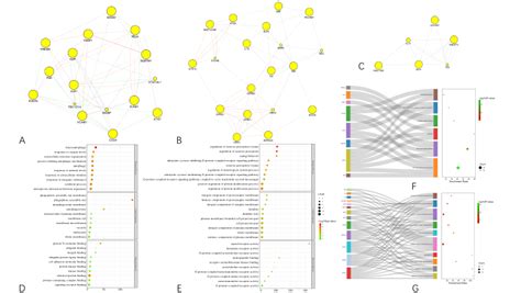 Cluster Classification Of The Preliminary Ppi Network A−c Are