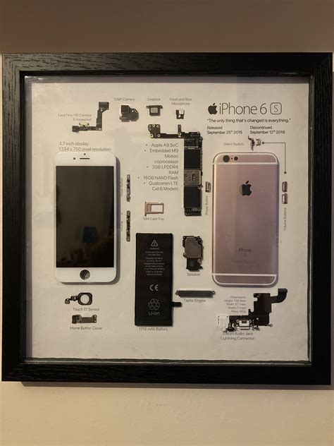 Created This Exploded View Of My Broken Iphone 6s And Framed It Riphone
