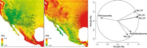 Principal Components Pc And Factor Loadings Based On Significant Download Scientific Diagram