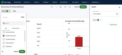 Report Overview · Brinqa Documentation