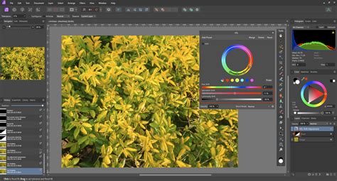 Best Way To Separate And Clarify Similar Colors Desktop Questions Macos And Windows