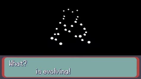Pokemon Evolution Screen