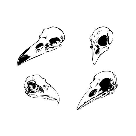 Free Bird Templates To Edit Online