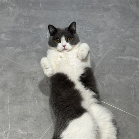 Yidi Wang Soochow University Prc Suzhou Suda School Of