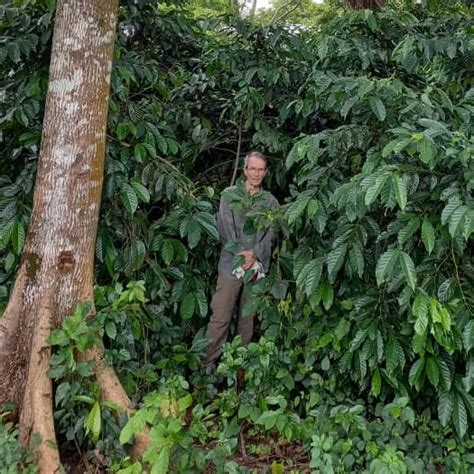 Bruno Devresse Executive Director Of Apaf International Author At Impakter