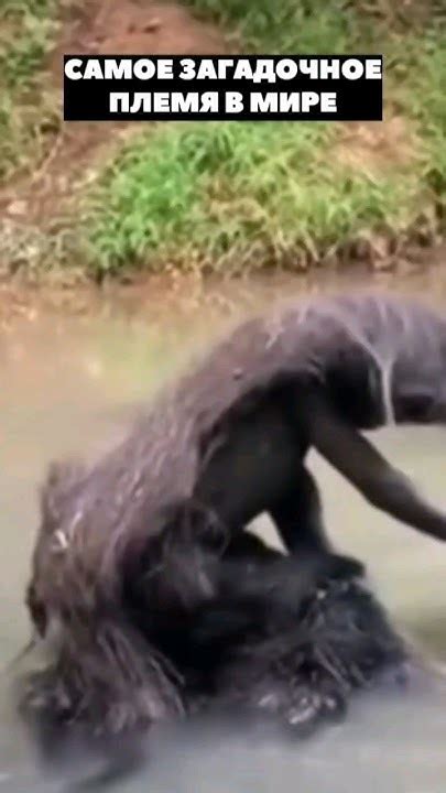 Самое загадочное племя в мире Что они скрывают Youtube