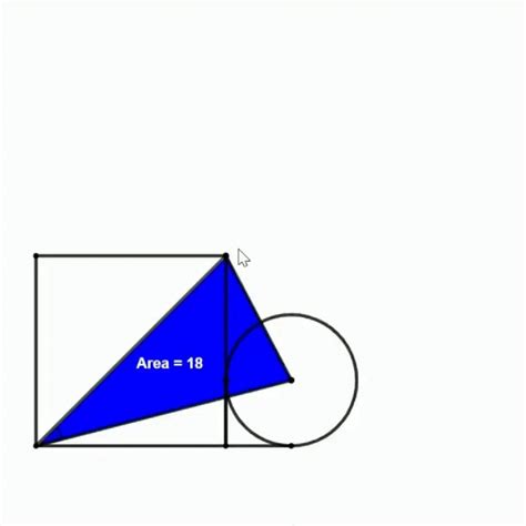 48 Different Types Of Functions And Their Graphs Complete List Artofit